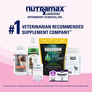 Nutramax Proviable Digestive Health Supplement Multi-Strain Probiotics and Prebiotics for Dogs, With 7-Strains of Bacteria, 60 Chewable Tablets