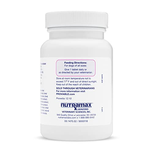 Nutramax Proviable Digestive Health Supplement Multi-Strain Probiotics and Prebiotics for Dogs, With 7-Strains of Bacteria, 60 Chewable Tablets