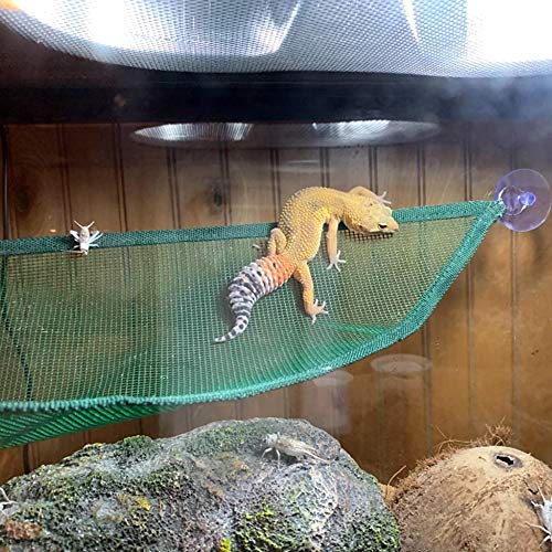 ADOGGYGO Bearded Dragon Lizard Hammock Reptile Hammock Lounger Ladder Bearded Dragon Hammock Accessories for Bearded Dragons Geckos Lizards Reptile (Green)