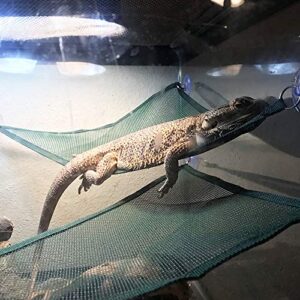 ADOGGYGO Bearded Dragon Lizard Hammock Reptile Hammock Lounger Ladder Bearded Dragon Hammock Accessories for Bearded Dragons Geckos Lizards Reptile (Green)