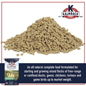 Kalmbach Feeds 20% Flock Maker Crumbles for Mixed Flocks of Poultry, 50 lb