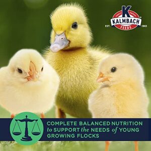 Kalmbach Feeds 20% Flock Maker Crumbles for Mixed Flocks of Poultry, 50 lb