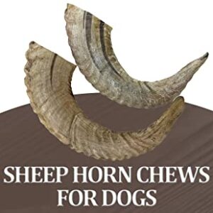 WhiteTail Naturals - Lamb Horns for Dogs (2 Pack) Long Lasting Dog Chews - Grain Free Chew Bone - Natural Sheep Horn Treat - Tough Chew Toy for Medium Breeds and Teething Puppies.