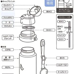 Skater SSPV4_494567 Children's Water Bottle, One Push Straw Bottle, Stainless Steel, 12.8 fl oz (380 ml), Ghibli My Neighbor Totoro, Light Color, Diameter 2.8 x Height 8.1 inches (72 x 206 mm), 3D