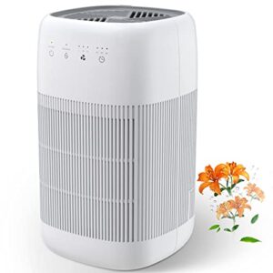 air purifier and dehumidifier in 1, afloia q10 true hepa air purifier with h13 hepa filter, small dehumidifier combined with air cleaner, remove pet odors dust smoke for home, bedroom, bathroom