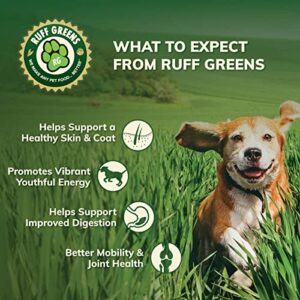 Ruff Greens - Vitamin & Mineral Supplement, Nutritional Support for Dogs, Probiotics for Dogs, Dog Vitamin Powder, Nutritionally Pure Superfood for Pets, 7.4 Ounce