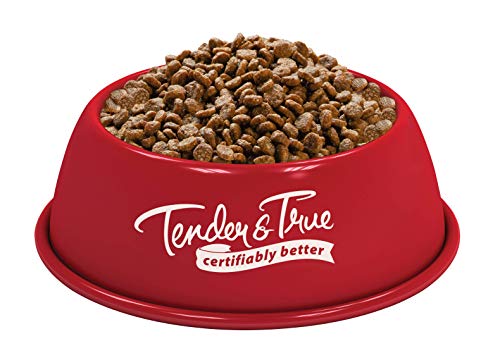 Tender & True Pet Nutrition Small Breed Organic Chicken Recipe Dog Food, 4 lb (46003)