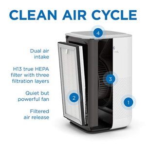 Medify Air MA-15 Air Purifier with H13 True HEPA Filter | 330 sq ft Coverage | for Allergens, Wildfire Smoke, Dust, Odors, Pollen, Pet Dander | Quiet 99.7% Removal to 0.1 Microns | Silver, 1-Pack