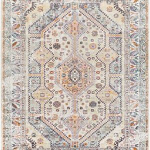 Artistic Weavers Brogan Vintage Rustic Area Rug,7'10" x 10'3",Ivory