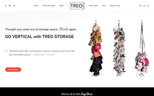 TREO Storage Shoe & Purse Organizer