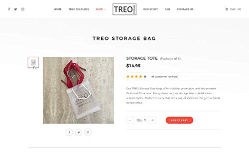 TREO Storage Shoe & Purse Organizer