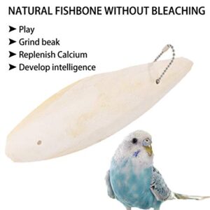 POPETPOP Bird Cuttlebone - Cuttlefish Bones Hanging Pendant Parrot Toy for Bird,Parakeets, Finches, Canaries, 3 Pcs Parakeet Cuttlebone Holder