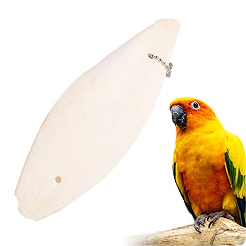 POPETPOP Bird Cuttlebone - Cuttlefish Bones Hanging Pendant Parrot Toy for Bird,Parakeets, Finches, Canaries, 3 Pcs Parakeet Cuttlebone Holder