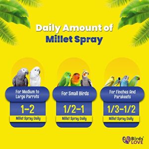 Birds LOVE Economy & Thin Special Spray Millet GMO-Free No Pesticides (No Stems Only Edible Tops) for Birds Cockatiel Lovebird Parakeet Finch Canary All Parrots Healthy Treat-9oz…