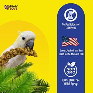 Birds LOVE Economy & Thin Special Spray Millet GMO-Free No Pesticides (No Stems Only Edible Tops) for Birds Cockatiel Lovebird Parakeet Finch Canary All Parrots Healthy Treat-9oz…