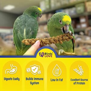 Birds LOVE Economy & Thin Special Spray Millet GMO-Free No Pesticides (No Stems Only Edible Tops) for Birds Cockatiel Lovebird Parakeet Finch Canary All Parrots Healthy Treat-9oz…