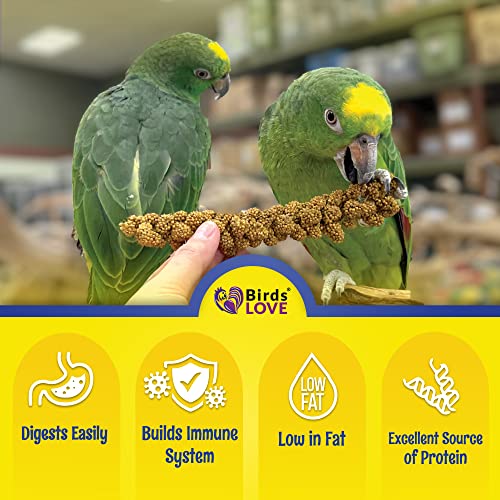 Birds LOVE Economy & Thin Special Spray Millet GMO-Free No Pesticides (No Stems Only Edible Tops) for Birds Cockatiel Lovebird Parakeet Finch Canary All Parrots Healthy Treat-9oz…