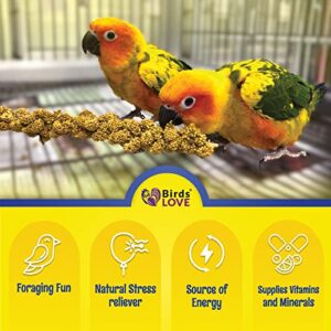 Birds LOVE Economy & Thin Special Spray Millet GMO-Free No Pesticides (No Stems Only Edible Tops) for Birds Cockatiel Lovebird Parakeet Finch Canary All Parrots Healthy Treat-9oz…