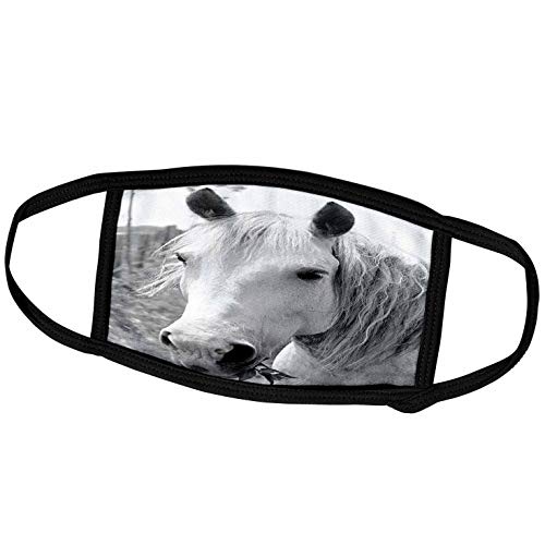 3dRose TDSwhite – Horse Equine Photos - Horse Chews Grass - Face Masks (fm_285507_1)