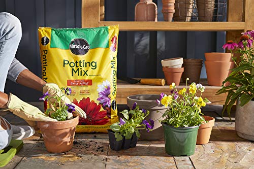 Miracle-Gro Potting Mix, 16 qt., 2-Pack