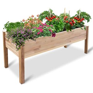 jumbl raised canadian cedar garden bed | elevated wood planter for growing fresh herbs, vegetables, flowers, succulents & other plants at home | great for outdoor patio, deck, balcony | 72x23x30”