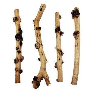 hamiledyi aquarium driftwood branches,natural forest branches assorted size tree trunks aquarium wood decor fish tank terrarium decoration (4 pcs)