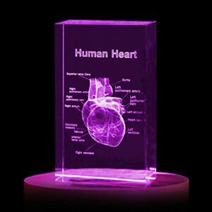 3D Human Heart Anatomical Model Paperweight with Laser Engraved High Definition Structure Made of Optical Crystal Glass Cube as Teaching Tool or Science Gift (No Included LED Base)(5x5x7.5 cm)