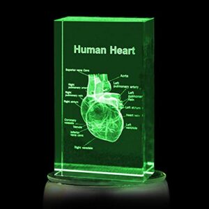 3D Human Heart Anatomical Model Paperweight with Laser Engraved High Definition Structure Made of Optical Crystal Glass Cube as Teaching Tool or Science Gift (No Included LED Base)(5x5x7.5 cm)