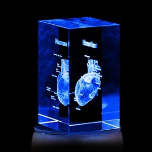 3D Human Heart Anatomical Model Paperweight with Laser Engraved High Definition Structure Made of Optical Crystal Glass Cube as Teaching Tool or Science Gift (No Included LED Base)(5x5x7.5 cm)