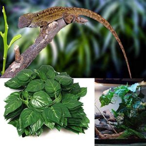 Hamiledyi Lizard Climbing Jungle Vines 9.8FT Flexible Reptile Leaves with Suction Cups Reptile Tank Habitat Decor for Gecko, Snakes,Chameleon,Bearded Dragon