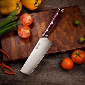 PAUDIN Damascus Nakiri Knife,7 Inch Japanese Damascus 67-layers VG10 High Carbon Stainless steel Knife, Ultra Sharp Vegetable Knife, Plume Pattern Kitchen Knife with Ergonomic G10 Handle