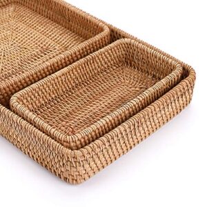 Hipiwe Large Rattan Serving Tray, Handwoven Wicker Basket Organizer Tray, Rectangle Tabletop Breakfast Drinks Snack Fruit Storage Platter Tray for Dining, Coffee, Home Decor (Set of 3)