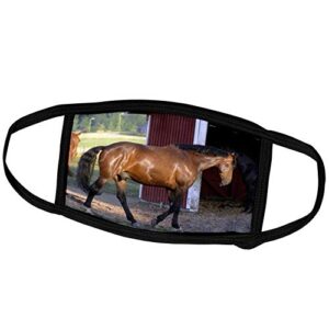 3drose tdswhite – horse equine photos - equine feeding time barn - face masks (fm_285481_1)