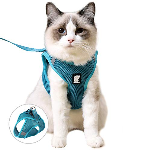 FDOYLCLC Cat Harness and Leash Set for Walking Escape Proof, Step-in Easy Control Outdoor Jacket, Adjustable Reflective Breathable Soft Air Mesh Vest for Small, Medium, Large Kitten (Turquoise, L)