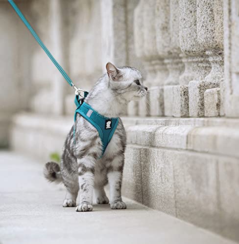 FDOYLCLC Cat Harness and Leash Set for Walking Escape Proof, Step-in Easy Control Outdoor Jacket, Adjustable Reflective Breathable Soft Air Mesh Vest for Small, Medium, Large Kitten (Turquoise, L)