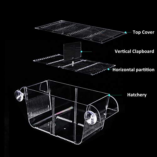 Qguai Fish Breeding Box, perfect fish tank divider acclimation box for aggressive fishes, nursery for injured, hatchery incubator breeder box for Shrimp cicilids eggs baby fishes (S ( 5.3*2.7*2.9" ))