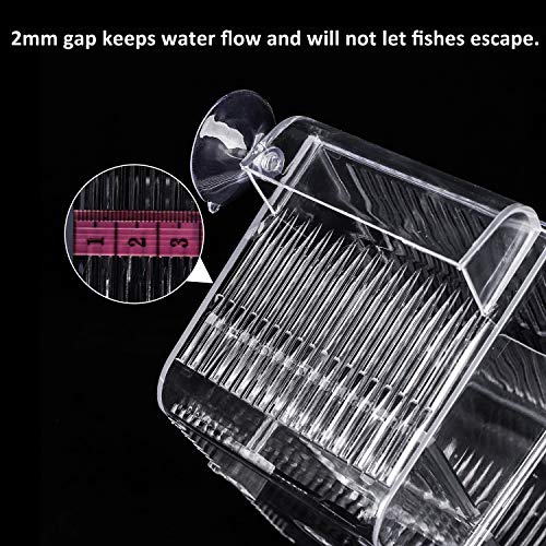 Qguai Fish Breeding Box, perfect fish tank divider acclimation box for aggressive fishes, nursery for injured, hatchery incubator breeder box for Shrimp cicilids eggs baby fishes (S ( 5.3*2.7*2.9" ))