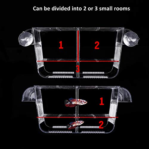 Qguai Fish Breeding Box, perfect fish tank divider acclimation box for aggressive fishes, nursery for injured, hatchery incubator breeder box for Shrimp cicilids eggs baby fishes (S ( 5.3*2.7*2.9" ))