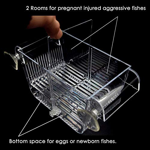 Qguai Fish Breeding Box, perfect fish tank divider acclimation box for aggressive fishes, nursery for injured, hatchery incubator breeder box for Shrimp cicilids eggs baby fishes (S ( 5.3*2.7*2.9" ))