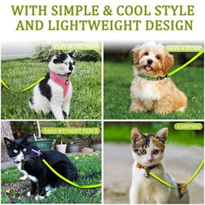 DOYOO 2 Pack Puppy Dog Leash Cat Leash, Strong and Durable Leash with Easy to Use Collar Hook - Dog Leashes for Cat with Collapsible Pet Bowl Great for Small and Medium Dog (Set 3-Black+Green)