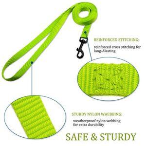 DOYOO 2 Pack Puppy Dog Leash Cat Leash, Strong and Durable Leash with Easy to Use Collar Hook - Dog Leashes for Cat with Collapsible Pet Bowl Great for Small and Medium Dog (Set 3-Black+Green)