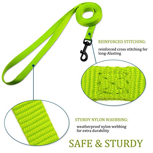 DOYOO 2 Pack Puppy Dog Leash Cat Leash, Strong and Durable Leash with Easy to Use Collar Hook - Dog Leashes for Cat with Collapsible Pet Bowl Great for Small and Medium Dog (Set 3-Black+Green)