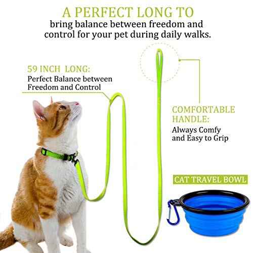 DOYOO 2 Pack Puppy Dog Leash Cat Leash, Strong and Durable Leash with Easy to Use Collar Hook - Dog Leashes for Cat with Collapsible Pet Bowl Great for Small and Medium Dog (Set 3-Black+Green)