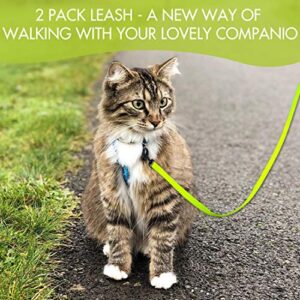 DOYOO 2 Pack Puppy Dog Leash Cat Leash, Strong and Durable Leash with Easy to Use Collar Hook - Dog Leashes for Cat with Collapsible Pet Bowl Great for Small and Medium Dog (Set 3-Black+Green)