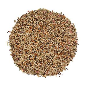 Sunseed Vita Prima Wholesome Nutrition Bird Food Canary Finch 2 Lb