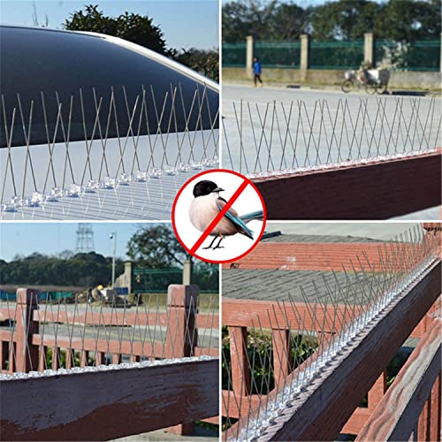 Bird Spikes,Flexible Stainless Steel with Plastic Base, 5 feet Coverage 6 Strips Barrier for Pigeons and Other Small Birds