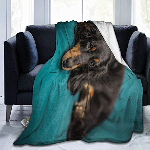 Black Long-Haired Dachshund Dog Fleece Blanket Throw Lightweight Blanket Super Soft Cozy Bed Warm Blanket for Living Room/Bedroom All Season (Black Long-Haired Dachshund Dog, 50" × 40")