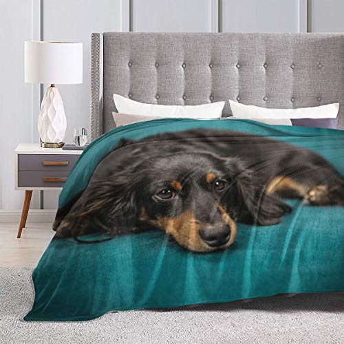 Black Long-Haired Dachshund Dog Fleece Blanket Throw Lightweight Blanket Super Soft Cozy Bed Warm Blanket for Living Room/Bedroom All Season (Black Long-Haired Dachshund Dog, 50" × 40")