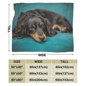 Black Long-Haired Dachshund Dog Fleece Blanket Throw Lightweight Blanket Super Soft Cozy Bed Warm Blanket for Living Room/Bedroom All Season (Black Long-Haired Dachshund Dog, 50" × 40")