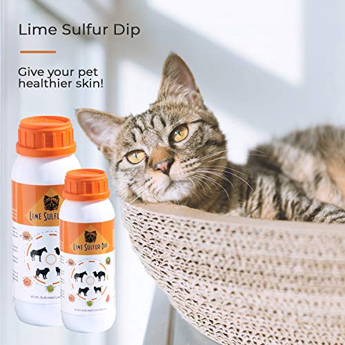 Classic's Lime Sulfur Dip - Pet Care for Itchy and Dry Skin - Xtra Strength Formula - Safe Solution for Dog, Cat, Puppy, Kitten, Horse (16 fl oz)